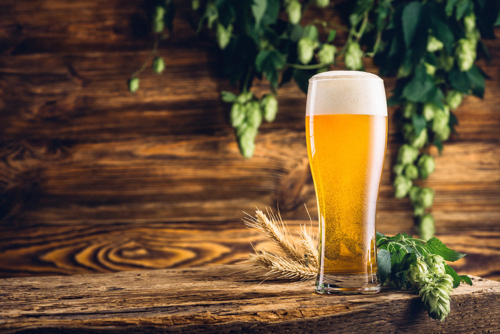 What is Piwo? The Ultimate Guide to Polish Beer, Styles & Culture ...